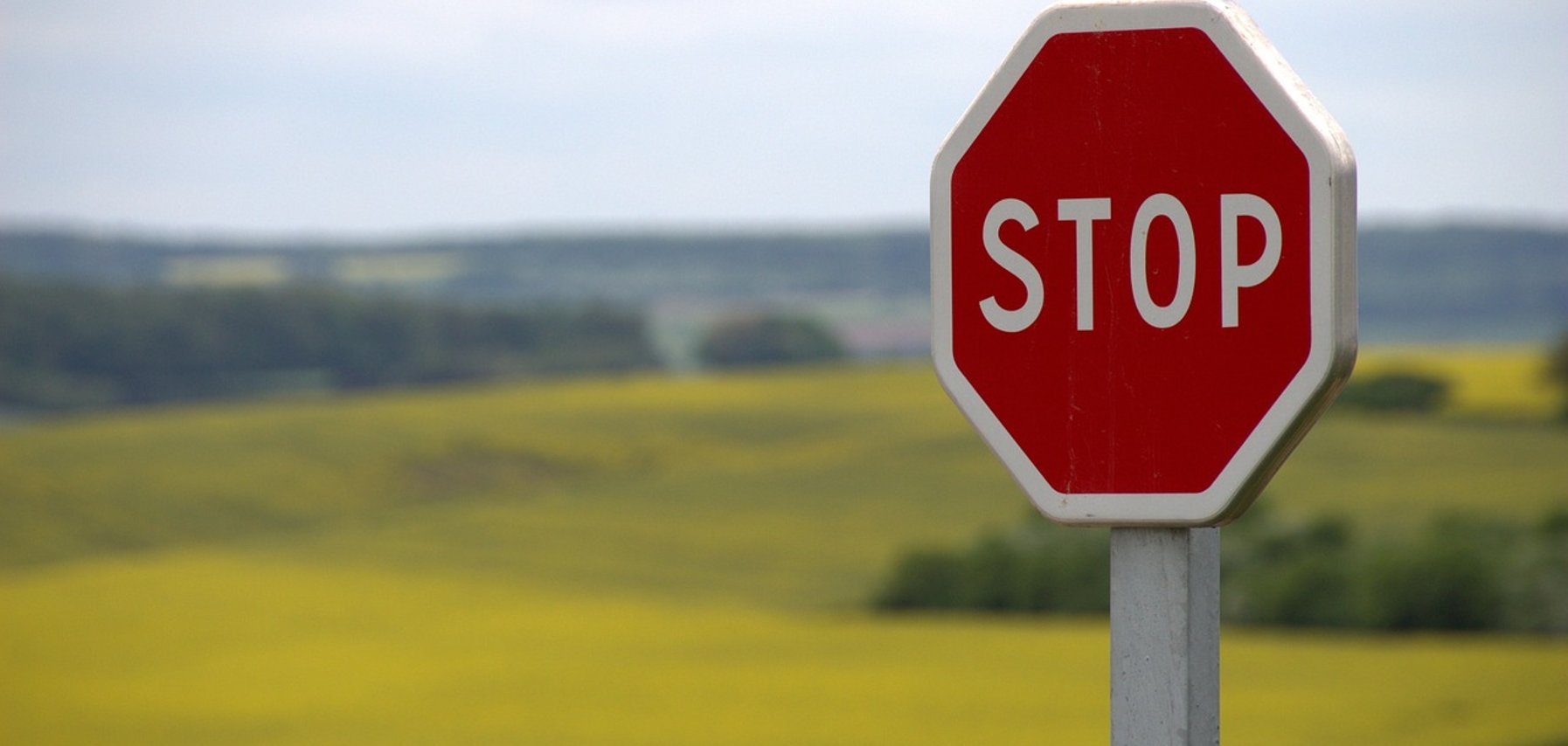 L 445 zwischen Ilbesheim und Freimersheim ab Montag, 22.09.2025 ...